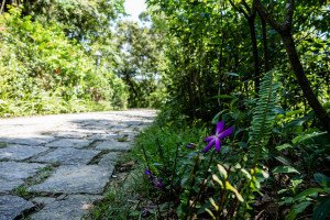 Sweating Away at Shenzhen's Meilin Reservoir